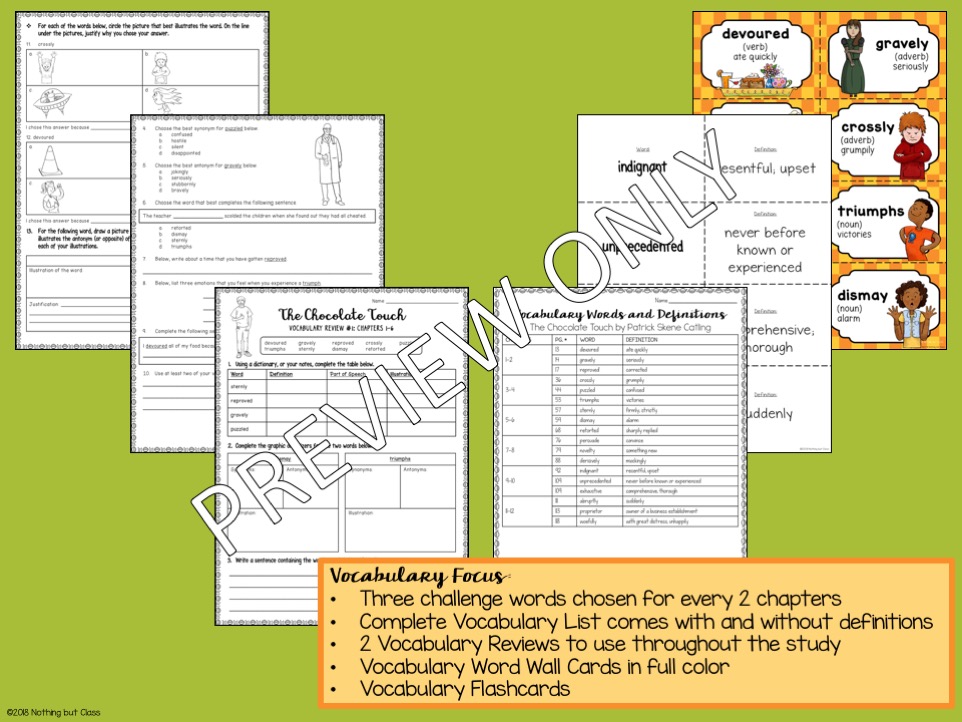 The Chocolate Touch Novel Study Unit | Comprehension with Activities ...
