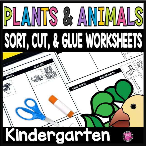 Basic Needs of Animals and Plants - Plants and Animals Science Picture ...