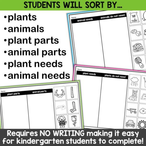 Basic Needs of Animals and Plants - Plants and Animals Science Picture ...