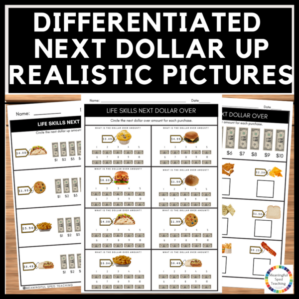 Differentiated Next Dollar Up Life Skills Math Worksheets NO PREP ...