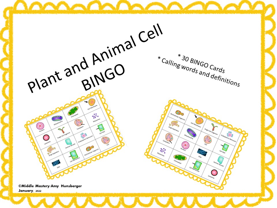 Plant and Animal Cell Bingo | Made By Teachers