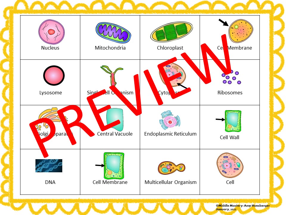 Plant and Animal Cell Bingo | Made By Teachers
