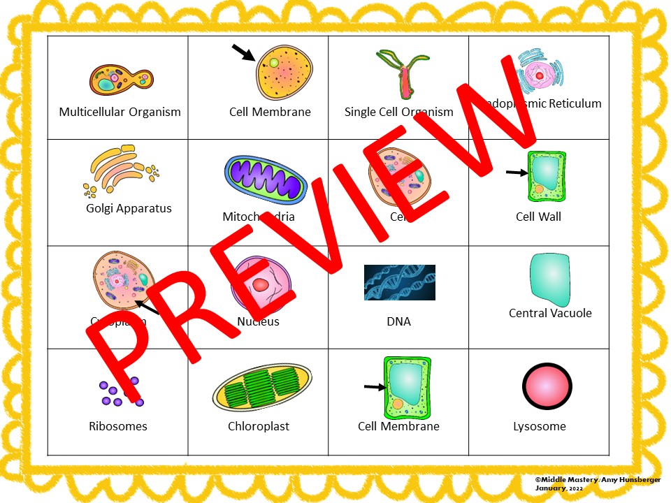 Plant and Animal Cell Bingo | Made By Teachers