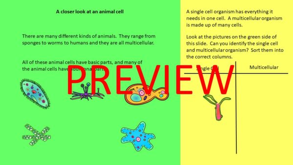 Animal and Plant Cell Interactive Powerpoint Lesson and Student ...
