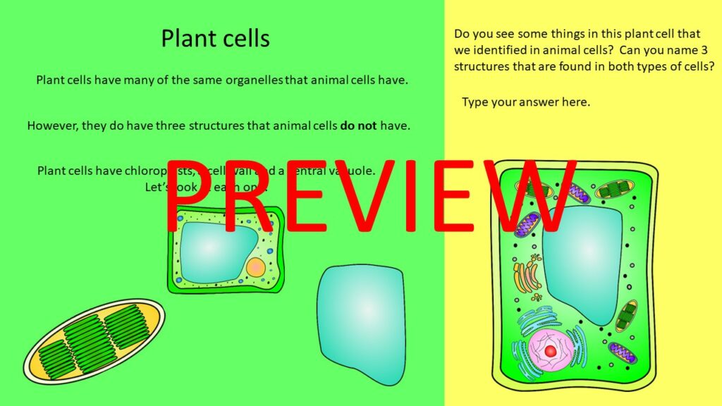 Animal and Plant Cell Interactive Powerpoint Lesson and Student ...