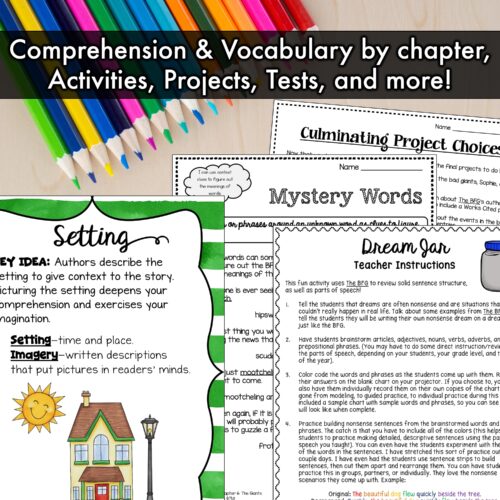 The BFG Novel Study Unit | Comprehension and Vocabulary with Activities ...