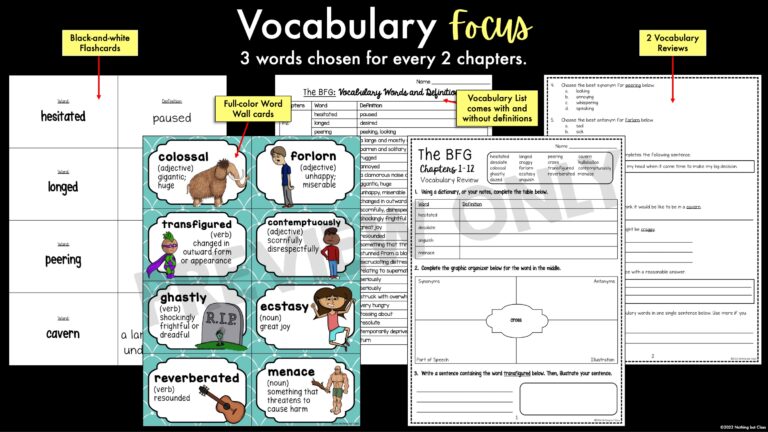 The BFG Novel Study Unit | Comprehension and Vocabulary with Activities ...