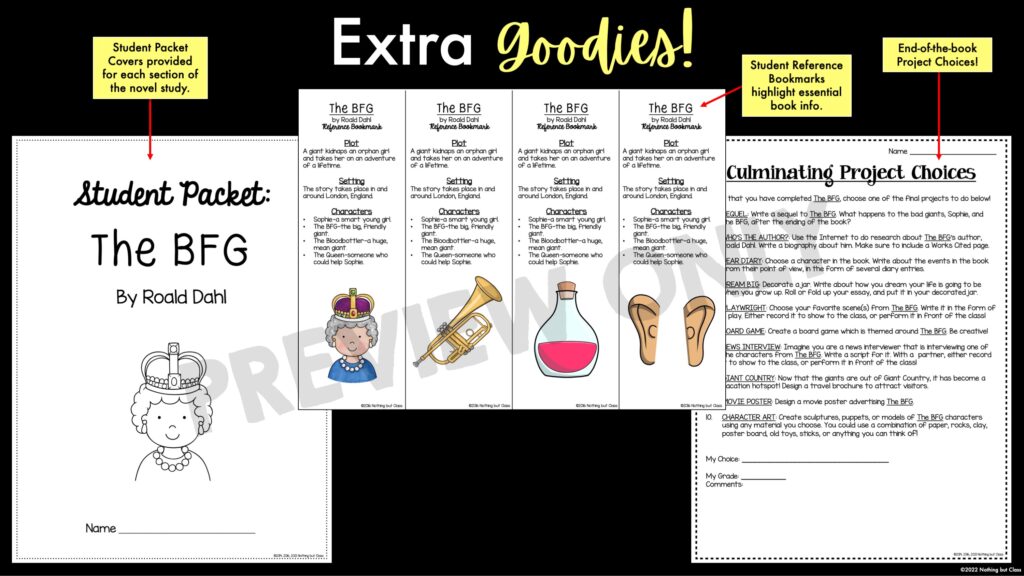 The BFG Novel Study Unit | Comprehension and Vocabulary with Activities ...