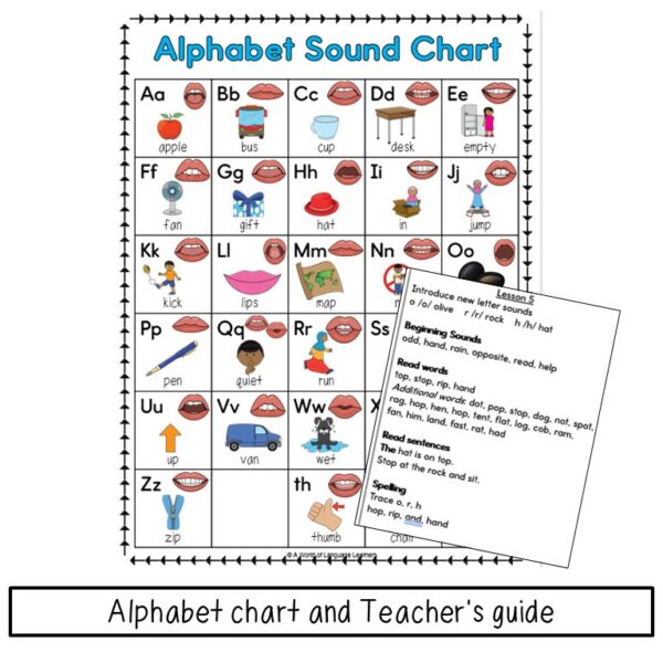 Newcomer Phonics Practice | Made By Teachers