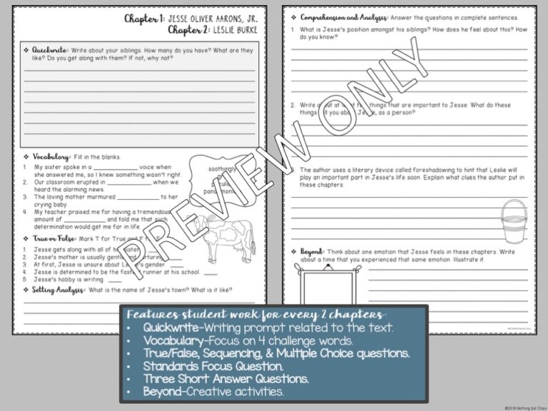 Bridge to Terabithia Novel Study Unit | Comprehension and Vocabulary ...