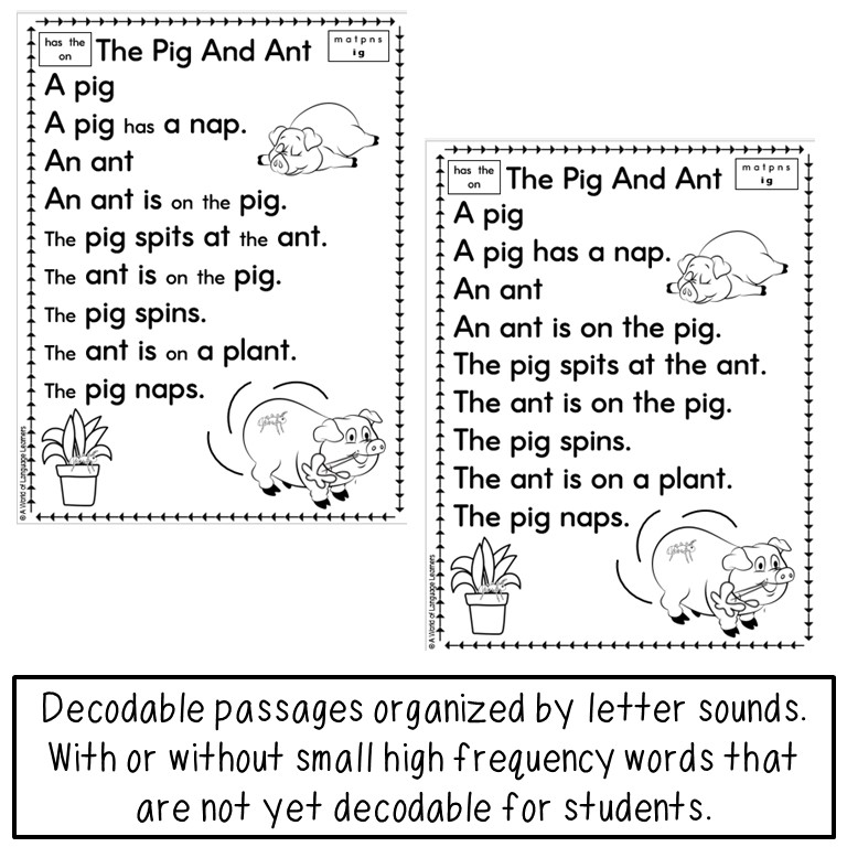 Newcomer Phonics Practice Bundle | Made By Teachers