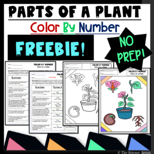 Parts of a Plant Color by Number | FREE Science Activity | Science ...