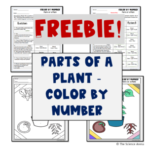 Parts of a Plant Color by Number | FREE Science Activity | Science ...