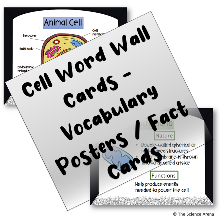 Plant & Animal Cell Word Wall - Editable Fact Cards / Vocabulary | Made ...