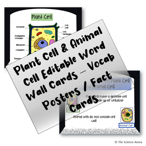 Plant & Animal Cell Word Wall - Editable Fact Cards / Vocabulary | Made ...