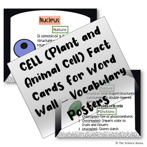 Plant & Animal Cell Word Wall - Editable Fact Cards / Vocabulary | Made ...