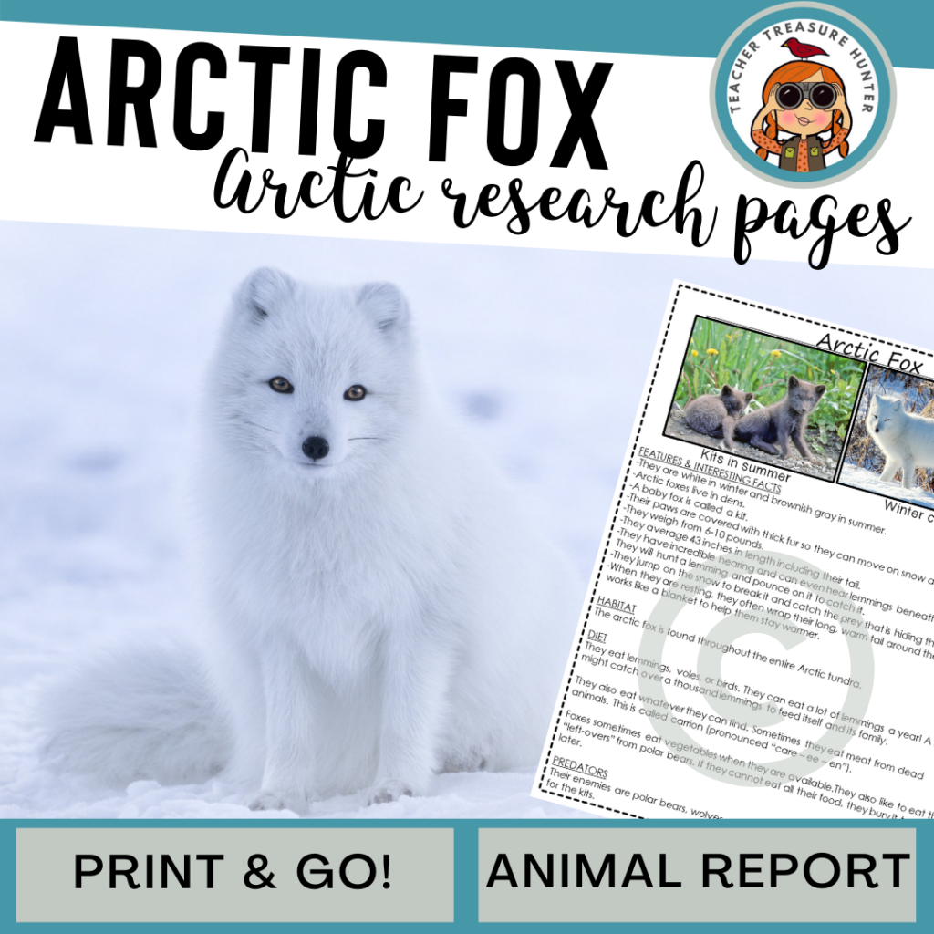Arctic Fox animal Report informational article for arctic animals ...