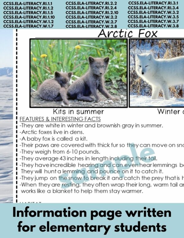 Arctic Fox animal Report informational article for arctic animals ...