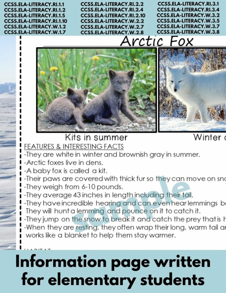 Arctic Fox animal Report informational article for arctic animals ...