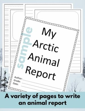 Arctic Fox animal Report informational article for arctic animals ...