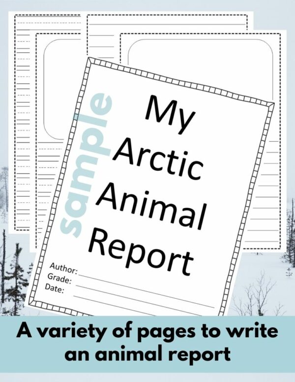 Arctic Fox animal Report informational article for arctic animals ...