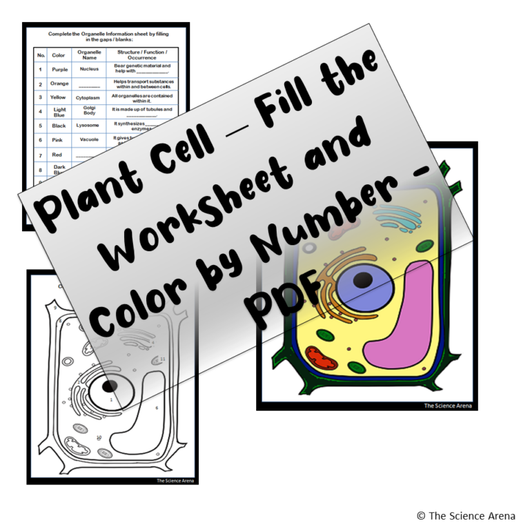 Cell-Science Activity of Color by Number | Plant Cell & Animal Cell ...