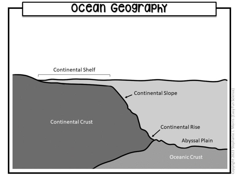 Ocean Floor Diagram | Made By Teachers