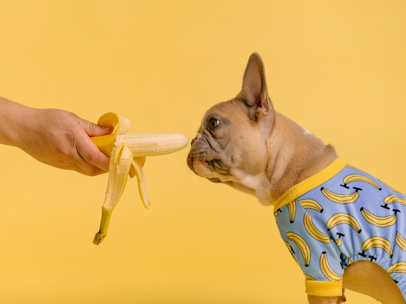 Picture of the Day: 180 Writing Prompt Photos to inspire Creative ...