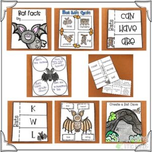 Bat Facts Interactive Mini Book | Made By Teachers