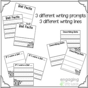 Bat Facts Interactive Mini Book | Made By Teachers