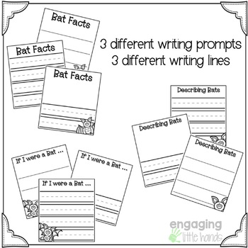 Bat Facts Interactive Mini Book | Made By Teachers