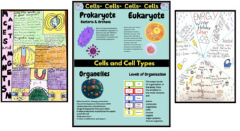 Cells One Pager Project Middle School Life Science Activity NGSS | Made ...