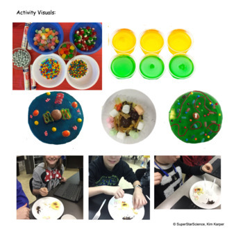 Edible Cell Hands-On Lab Middle School Life Science Model STEM NGSS ...