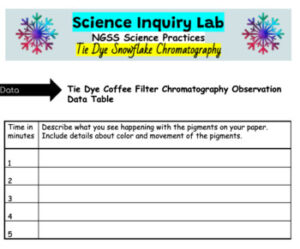Winter Science STEM Activity Snowflake Chromatography Lab Hands On NGSS ...