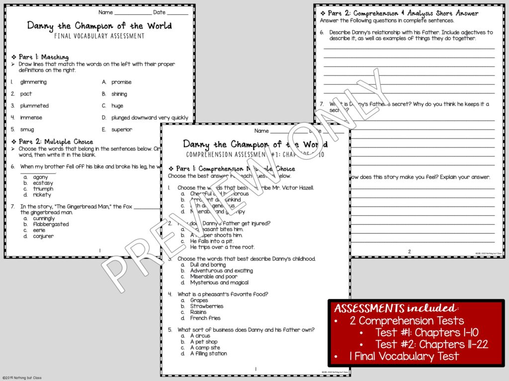 Danny the Champion of the World Novel Study | Comprehension and ...