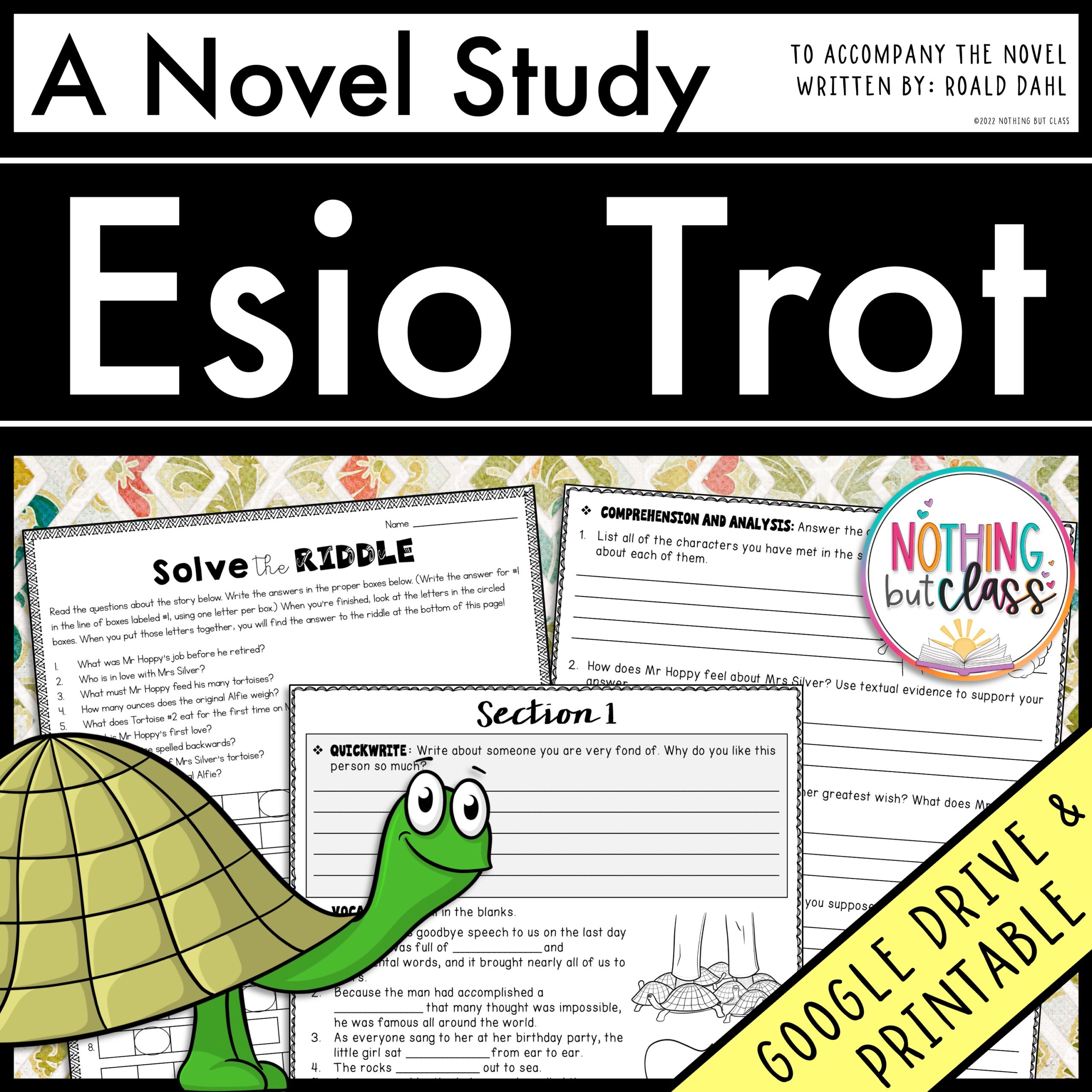 Hoot Novel Study Unit | Comprehension and Vocabulary with Activities ...