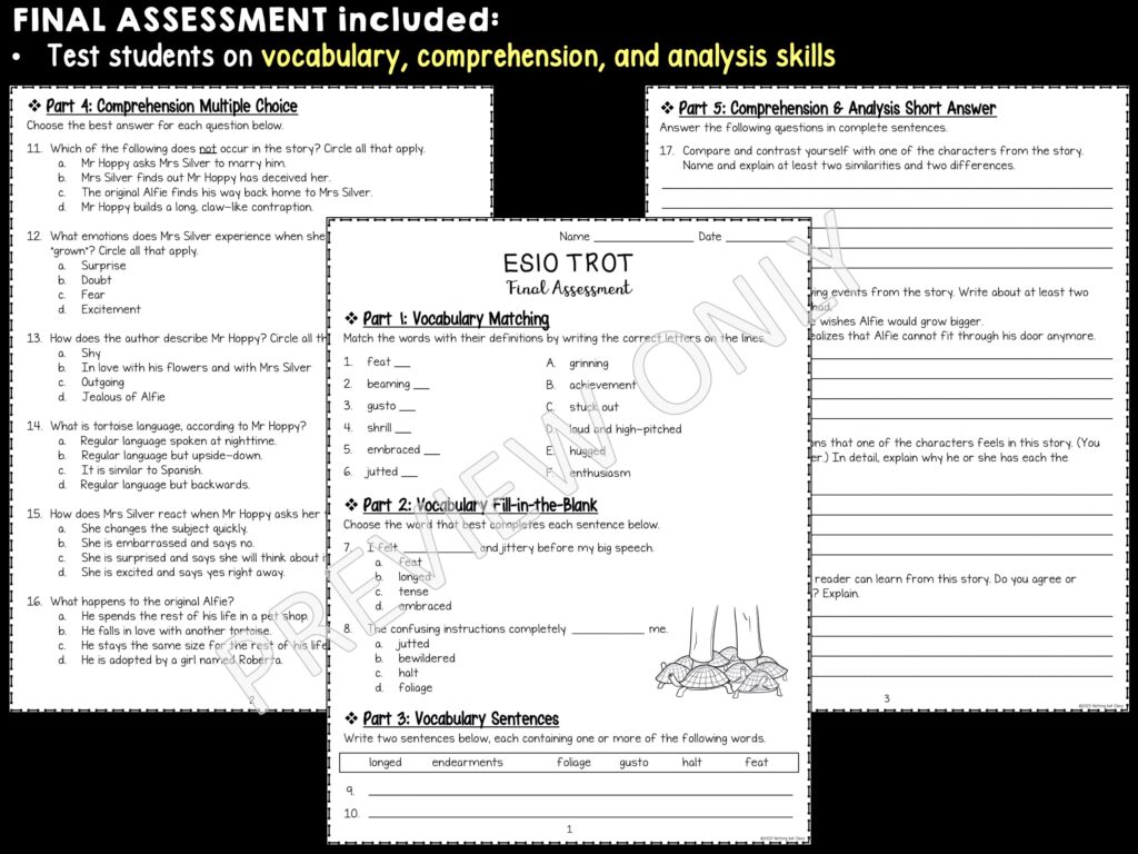 Esio Trot Novel Study Unit | Comprehension and Vocabulary with ...
