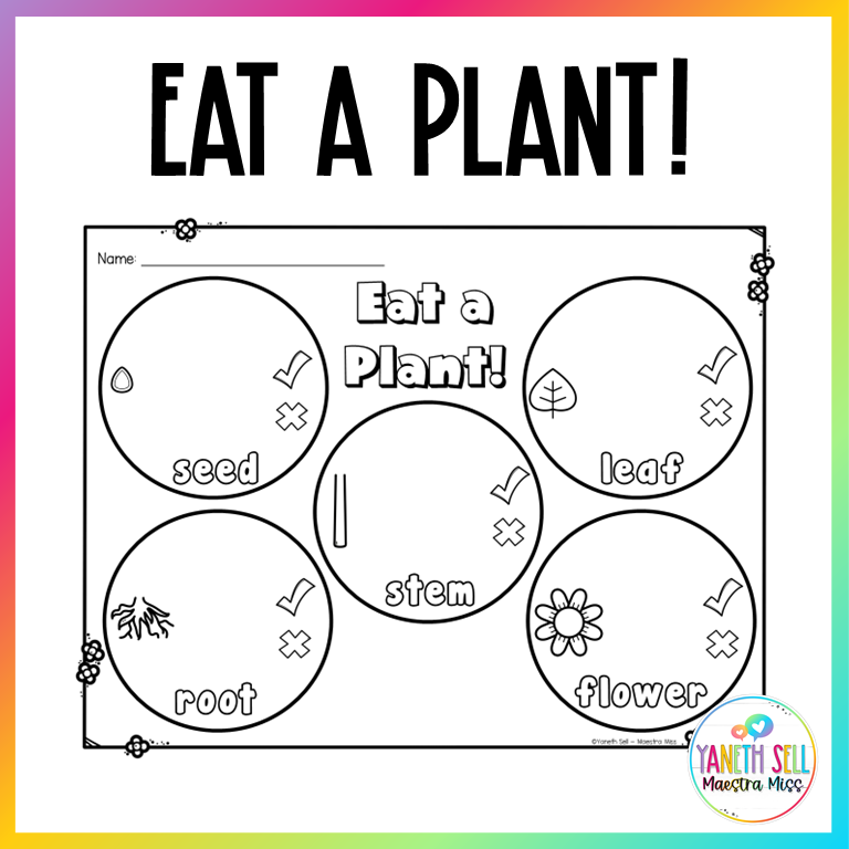 Eat a Plant! | Made By Teachers