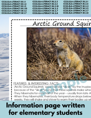 Arctic Ground Squirrel Animal Research Page for animal research report ...
