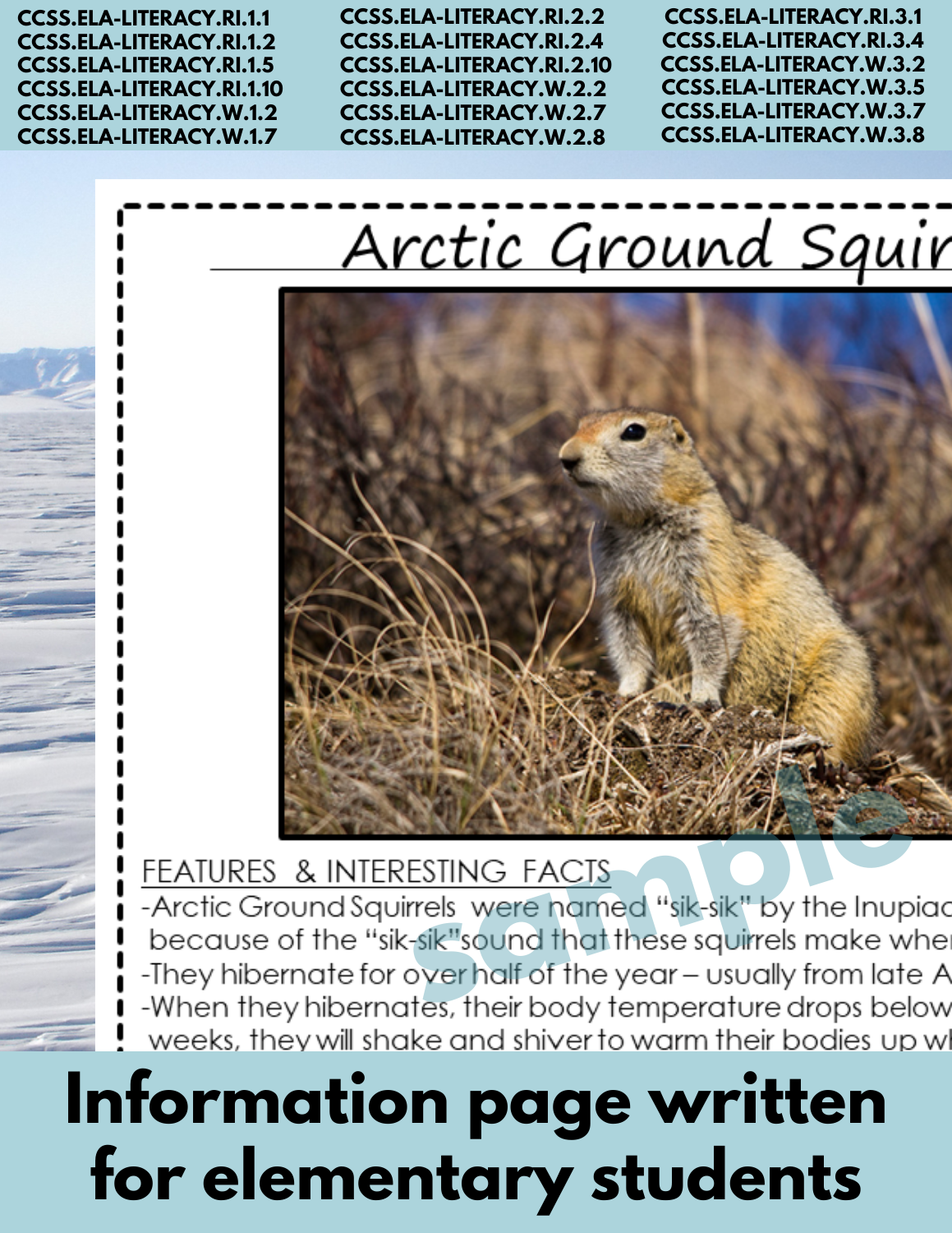 Arctic Ground Squirrel Animal Research Page for animal research report ...