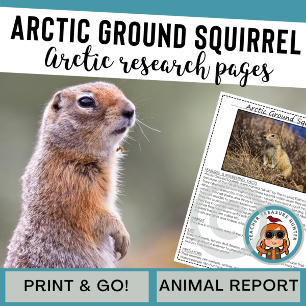 Arctic Ground Squirrel Animal Research Page for animal research report ...