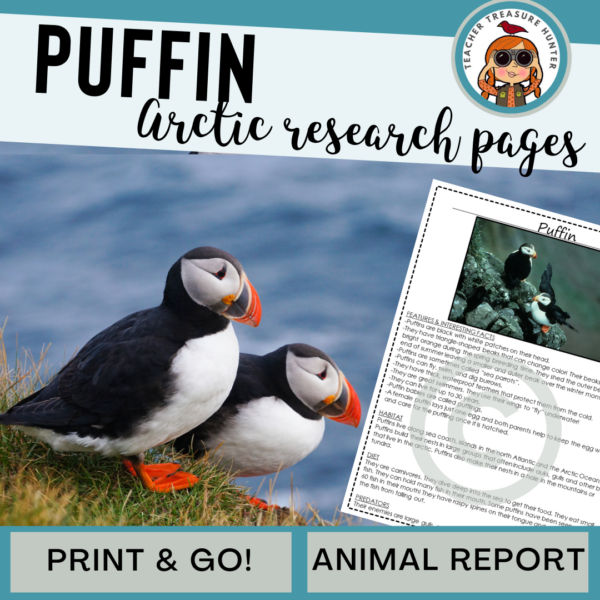 Puffin non-fiction article to write informational animal reports 1st ...