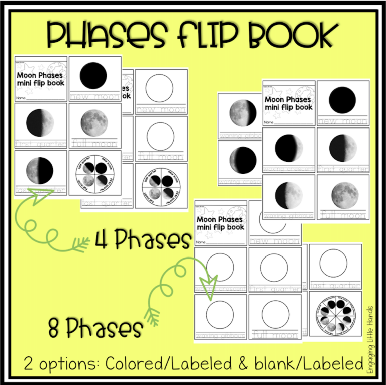 Moon Phases Activities | Made By Teachers