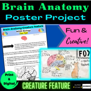 FUN Nervous System Brain Anatomy Creativity Project STEM NGSS Biology ...