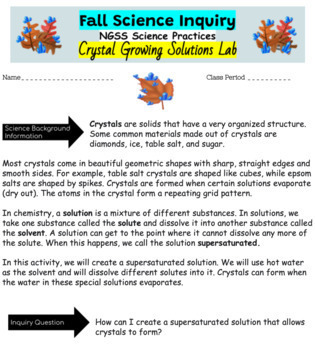 Fall Leaf Crystal Growing Lab Fun Hands On Middle School NGSS Activity ...