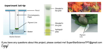 Fall Leaf Chromatography Lab Fun Hands On Middle School NGSS Activity ...