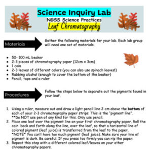 Fall Leaf Chromatography Lab Fun Hands On Middle School NGSS Activity ...