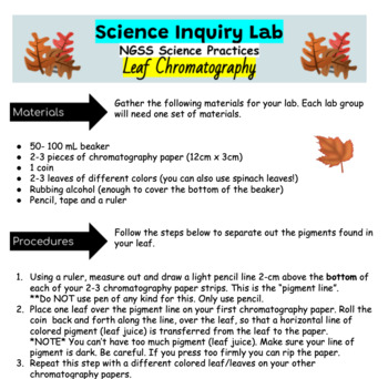 Fall Leaf Chromatography Lab Fun Hands On Middle School NGSS Activity ...