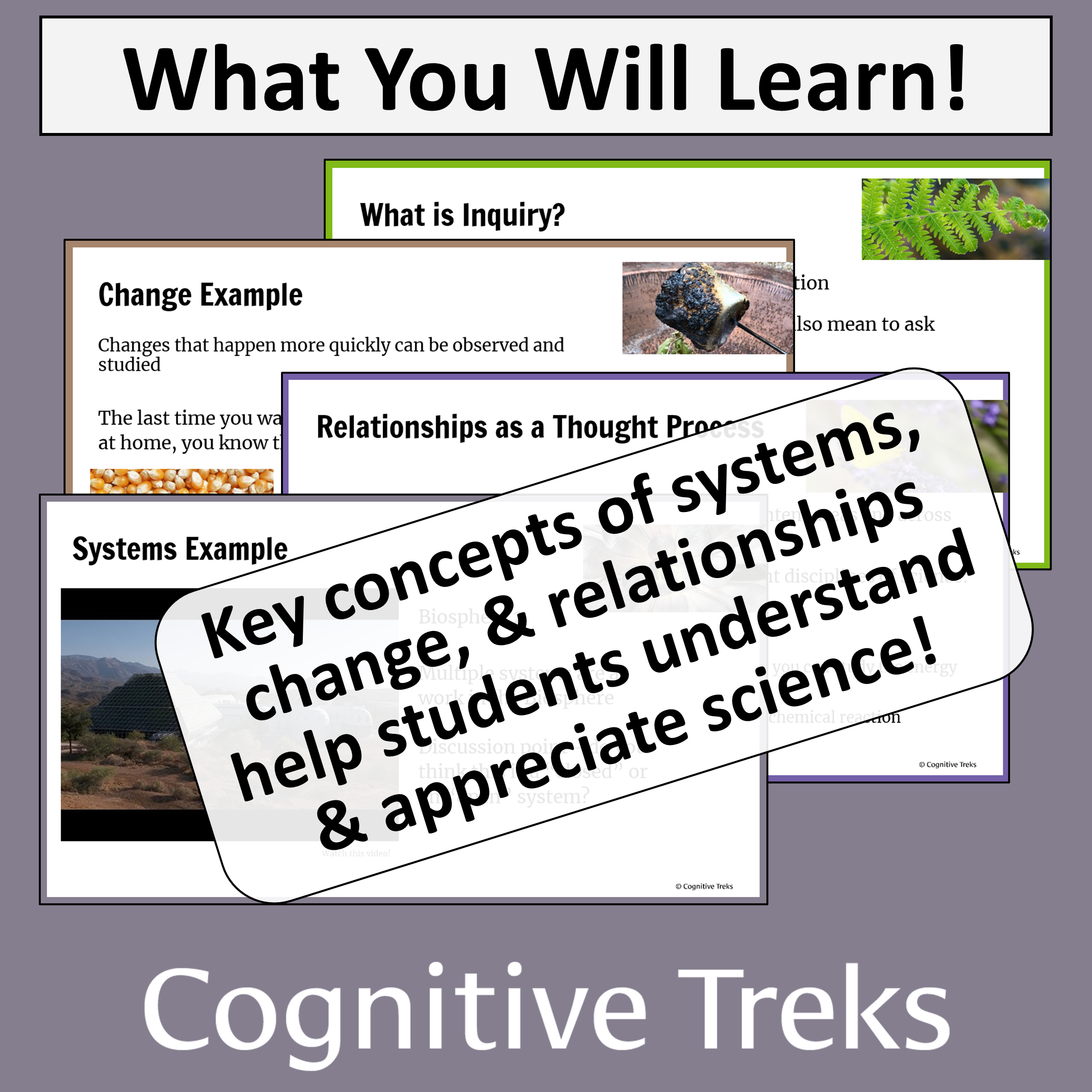 Science Inquiry & Exploration Stations | Systems Change & Relationships ...
