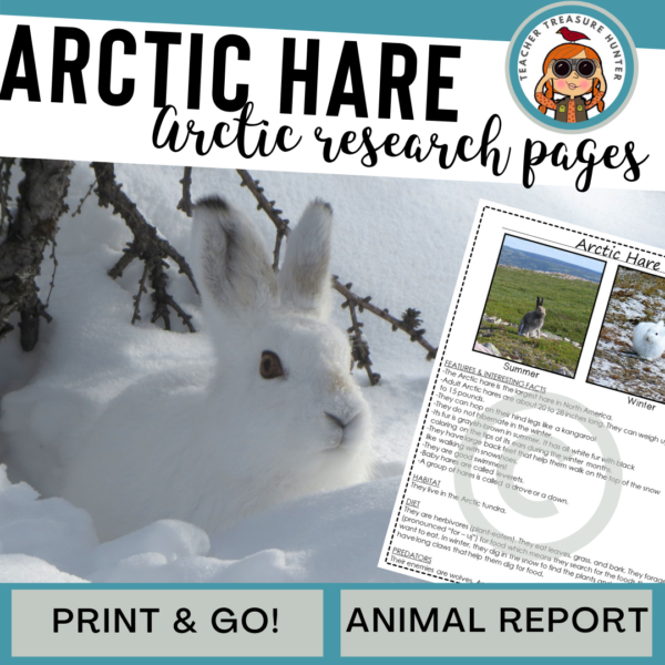 Arctic Animal Reports Arctic Hare informational article non-fiction ...